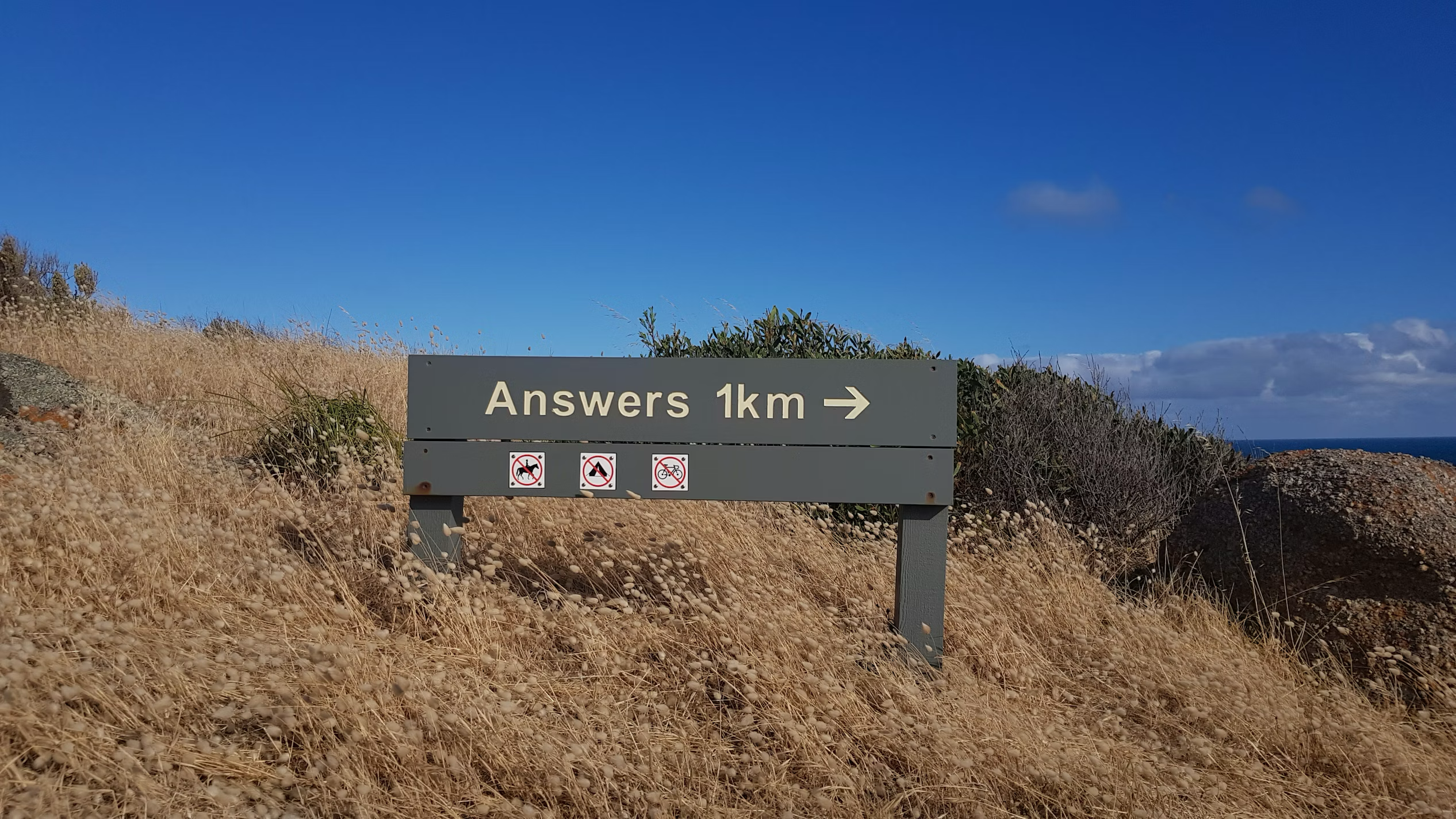 50 Great 1-1 Meeting Questions | Manager Toolkit